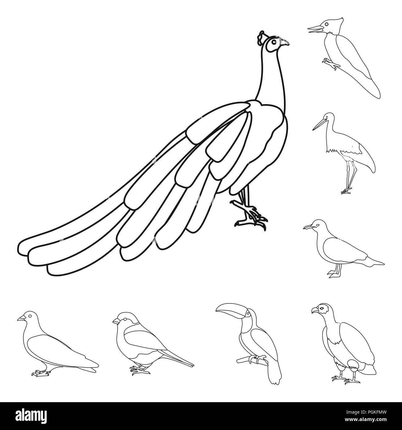 Types of birds outline icons in set collection for design. Home and ...