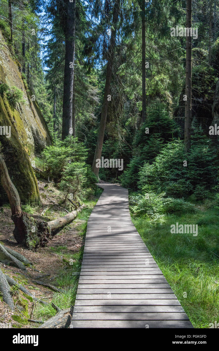 wooden path in Adrspach National Park, Czech Republic, Europe Stock ...