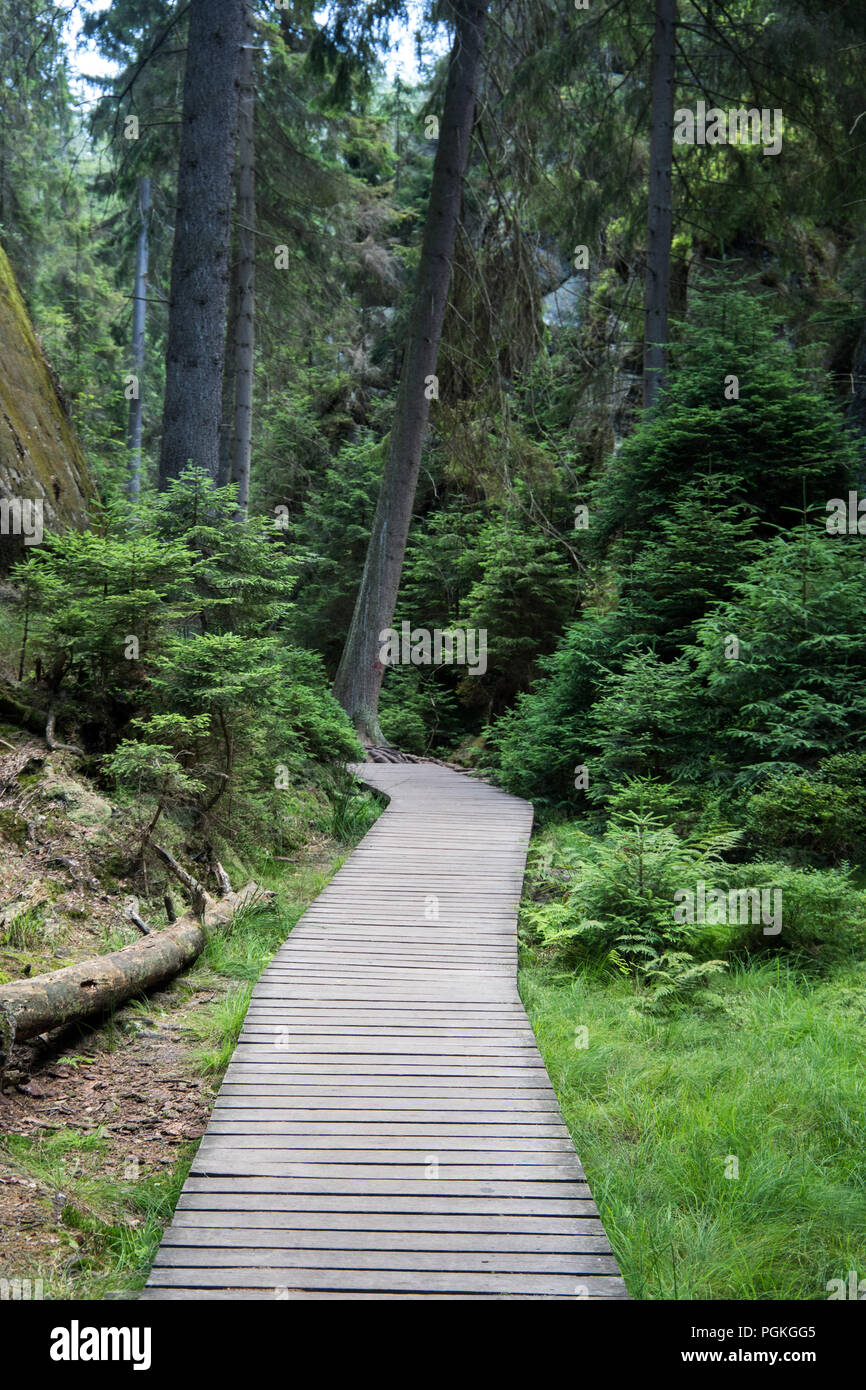 wooden path in Adrspach National Park, Czech Republic, Europe Stock ...