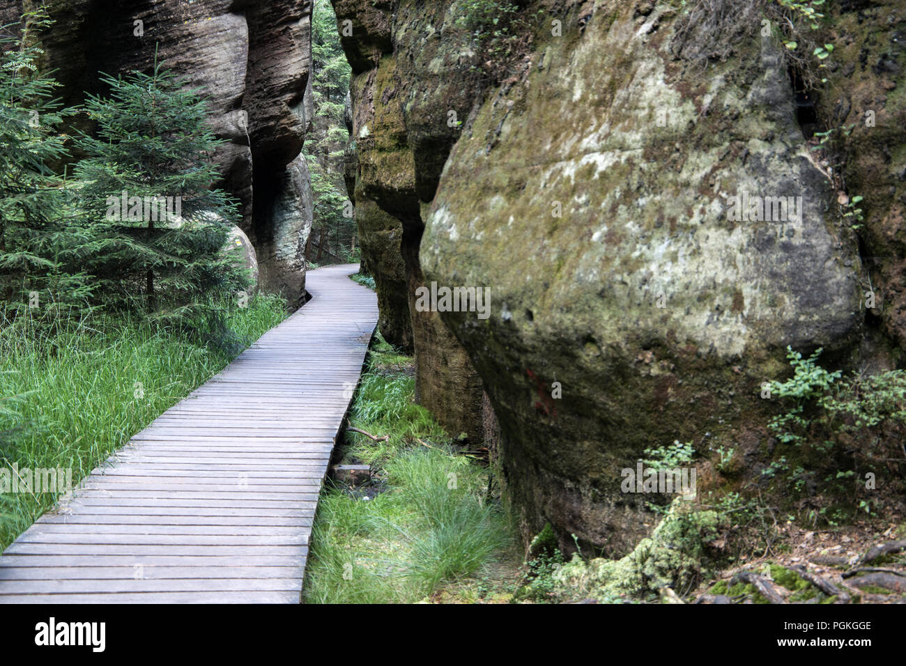 wooden path in Adrspach National Park, Czech Republic, Europe Stock ...