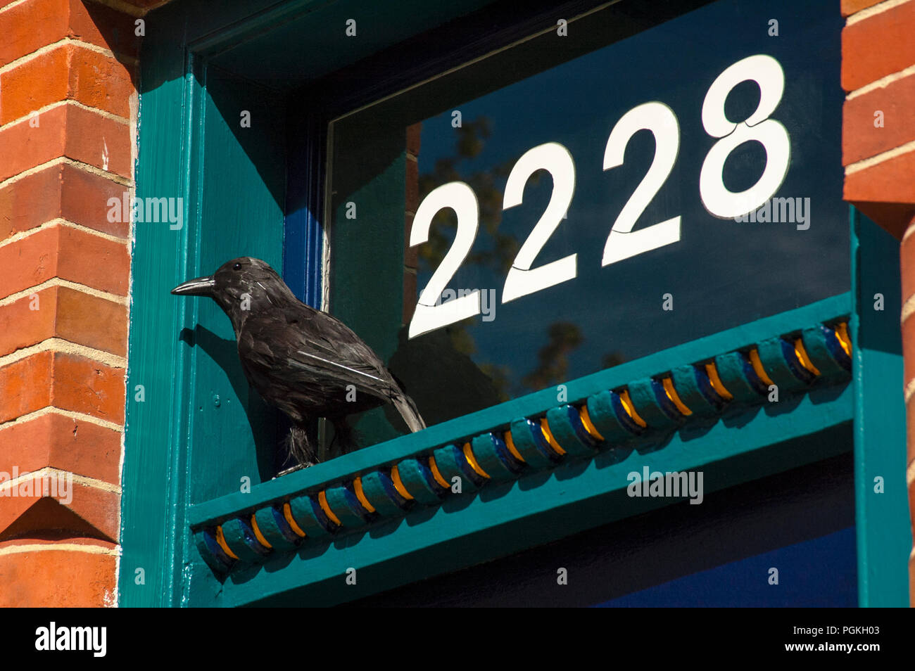 Baltimore Raven symbolic of the poet who died in Baltimore and wrote ...