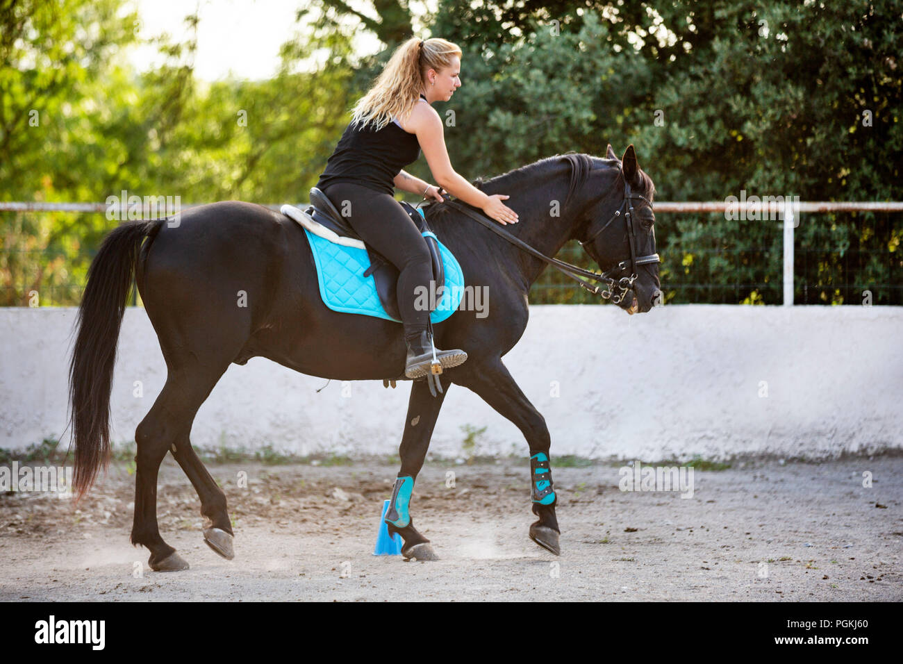 riding girl are training her black horse Stock Photo - Alamy