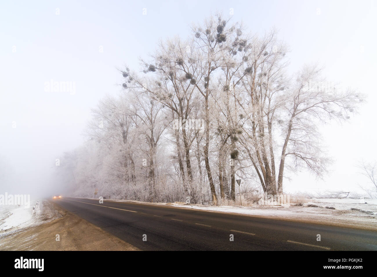road in winter along snow trees Stock Photo - Alamy