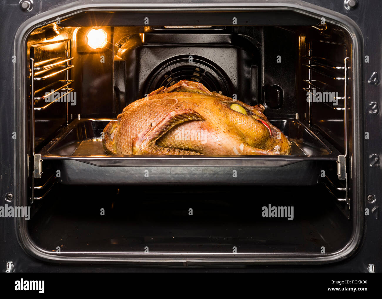 a duck on in a home electric oven Stock Photo - Alamy