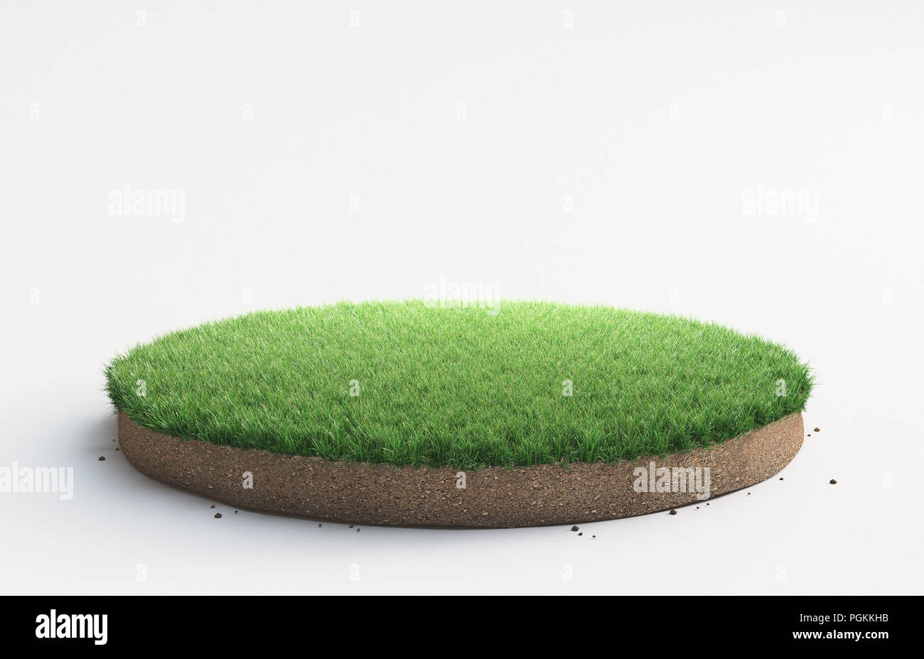 Peace of green grass, 3d render illustration Stock Photo - Alamy