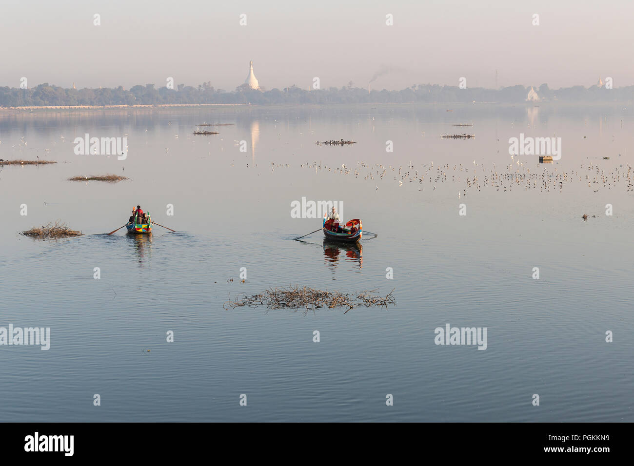 Ubein hi-res stock photography and images - Alamy
