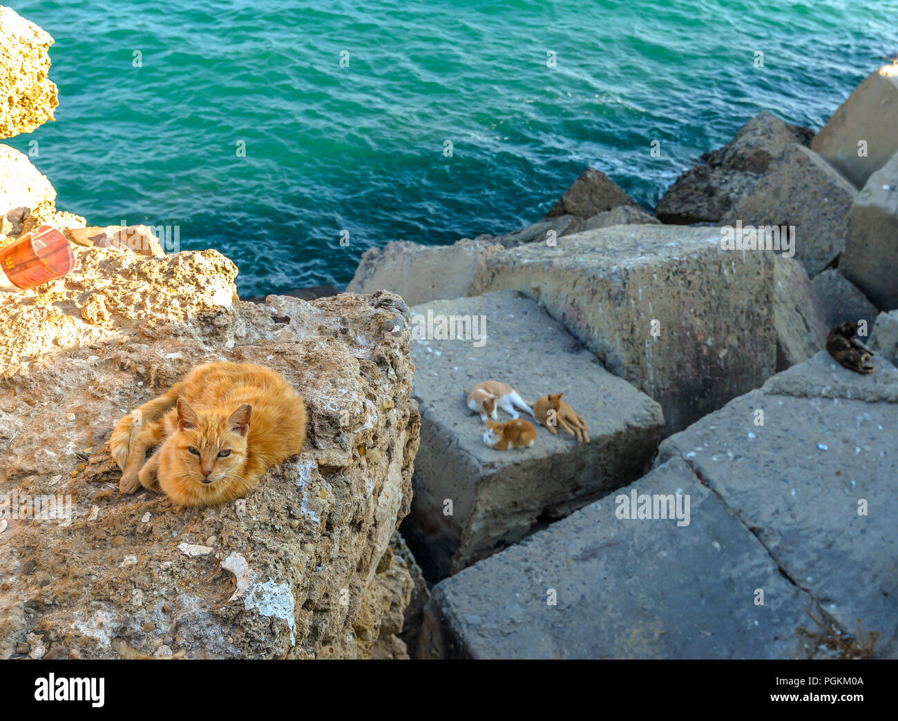 Waif’s home hi-res stock photography and images - Alamy