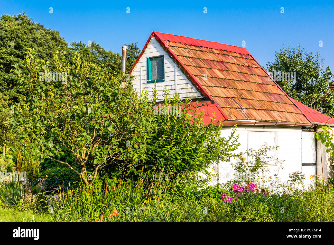 Rural cottage in the garden, house in green natural landscape ...