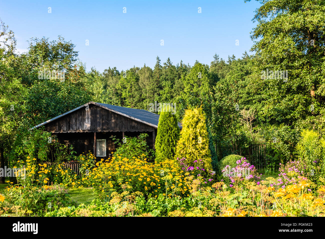 Wooden cottage in countryside scenery with flowers in the garden around ...