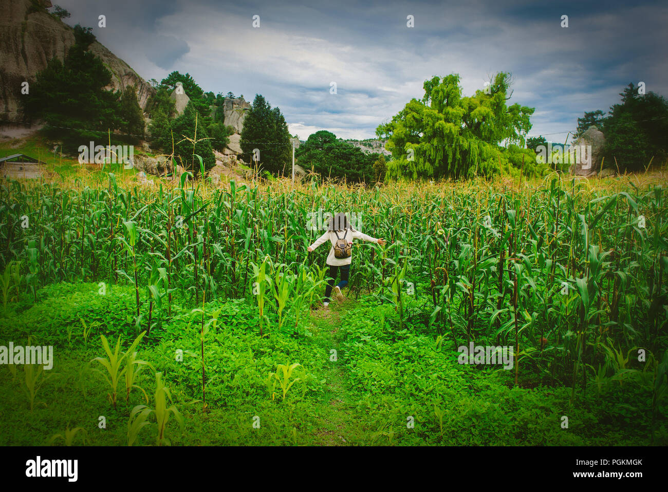 Creel, Chihuahua, Mexico. Creel station, is a population of the Mexican ...