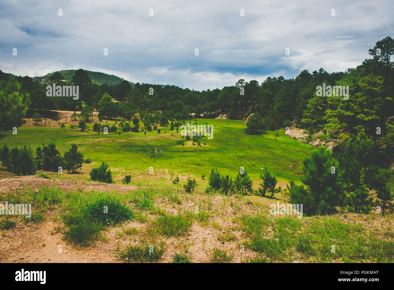 Creel, Chihuahua, Mexico. Creel station, is a population of the Mexican ...