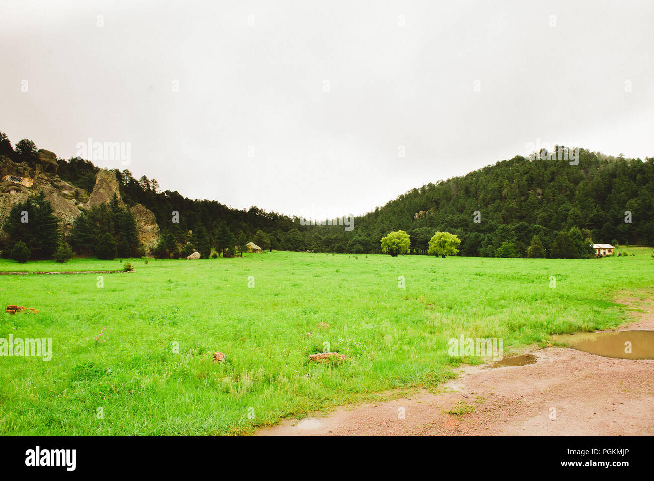 Creel, Chihuahua, Mexico. Creel station, is a population of the Mexican ...