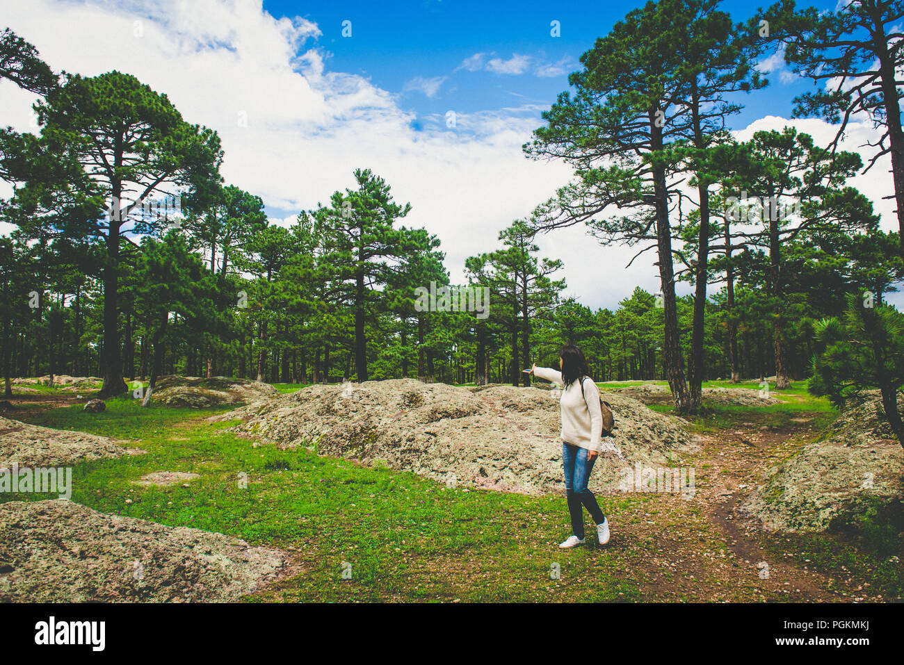 Creel, Chihuahua, Mexico. Creel station, is a population of the Mexican ...
