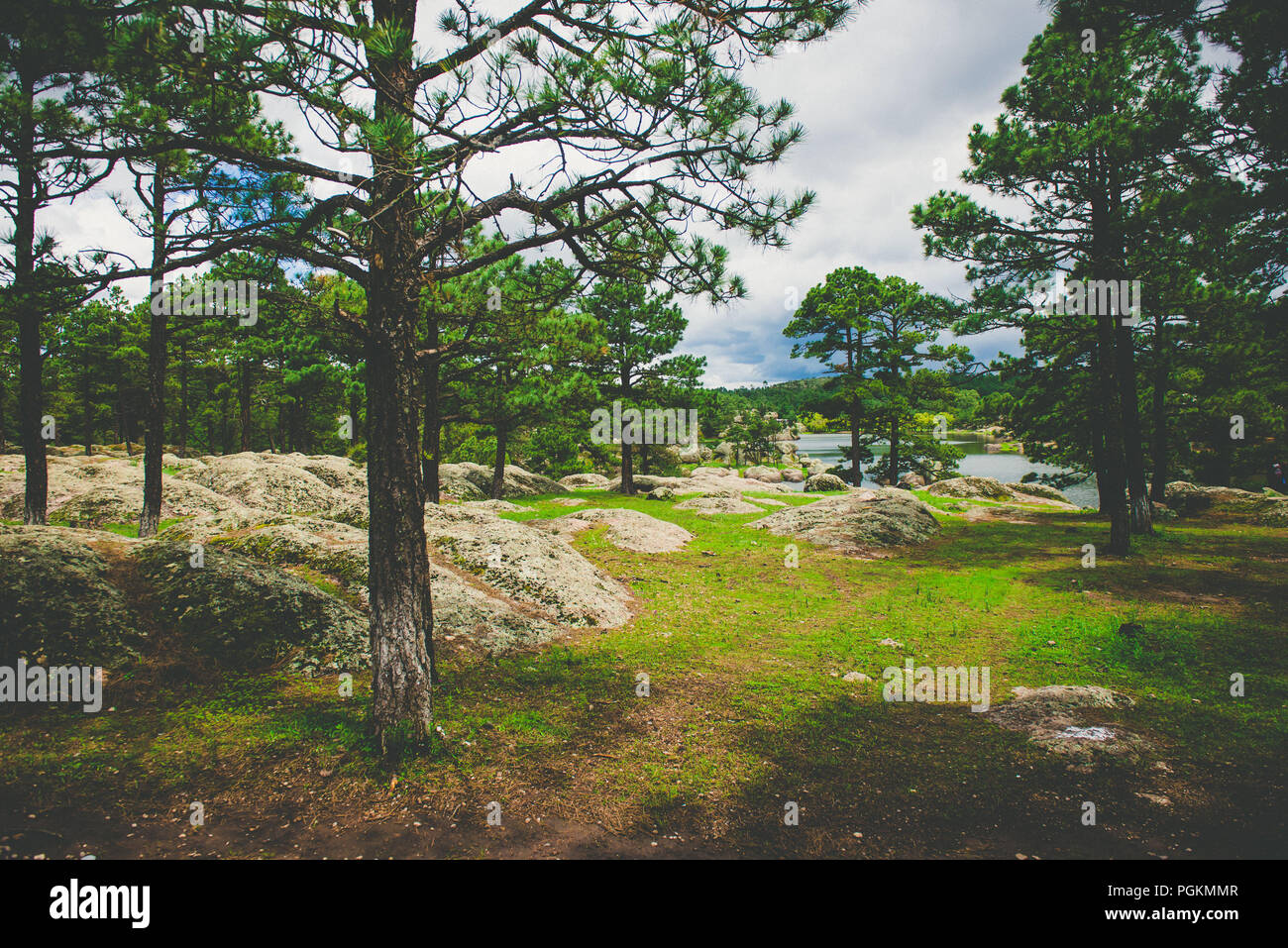 Creel, Chihuahua, Mexico. Creel station. Sierra Madre Occidental ...