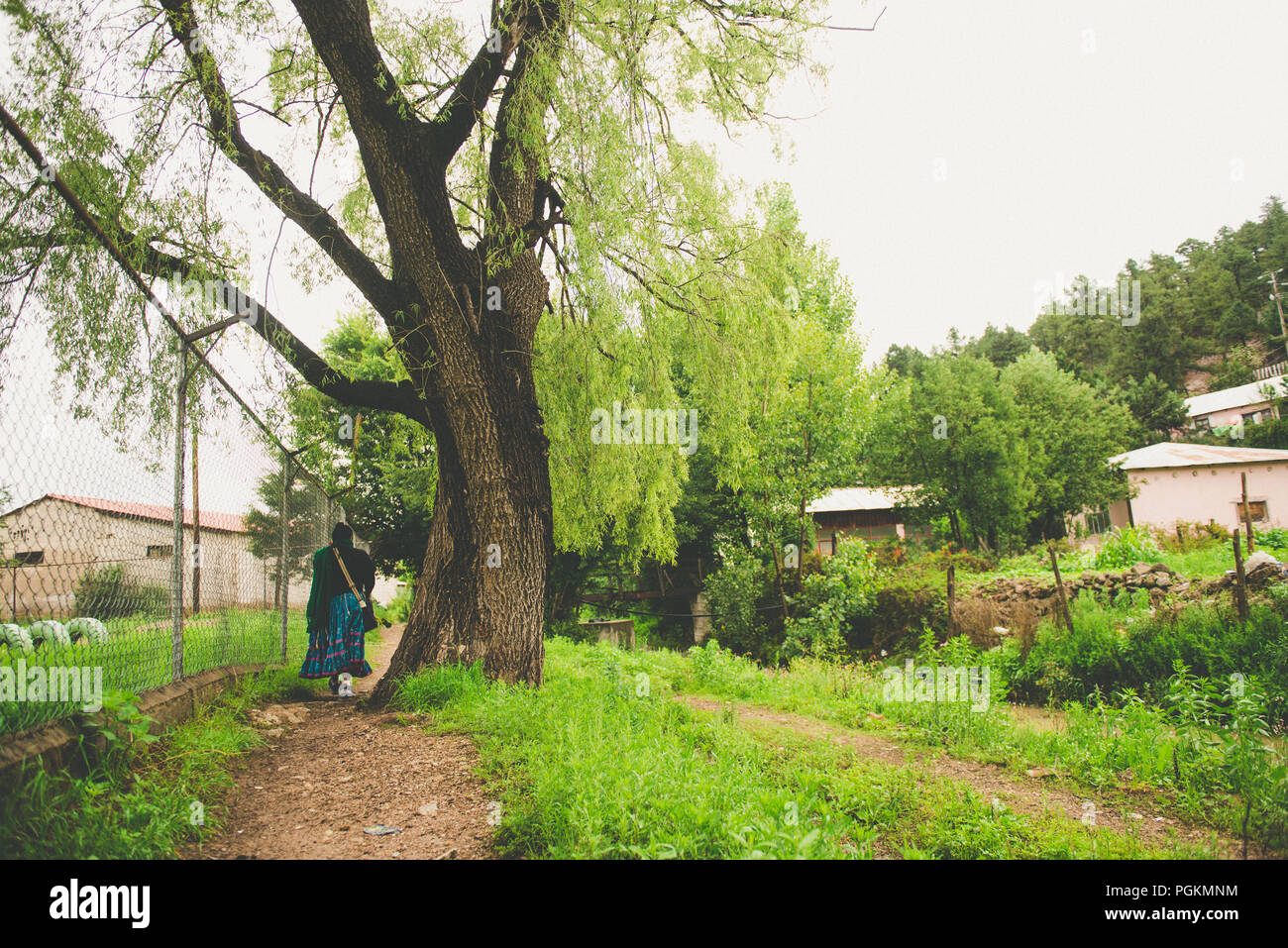 Sierra madre occidental creel hi-res stock photography and images - Alamy