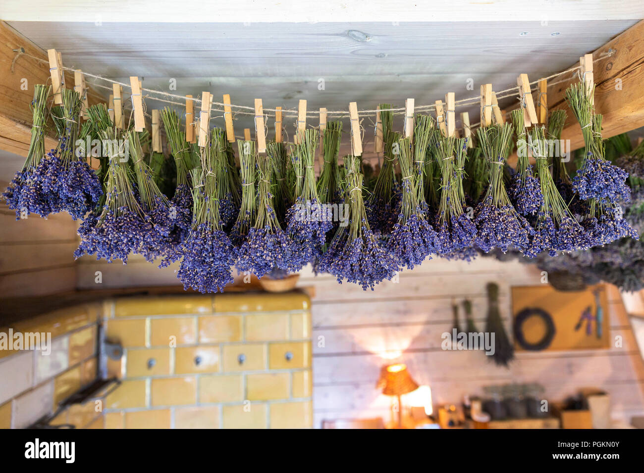Hanging lavender bunches hi-res stock photography and images - Alamy