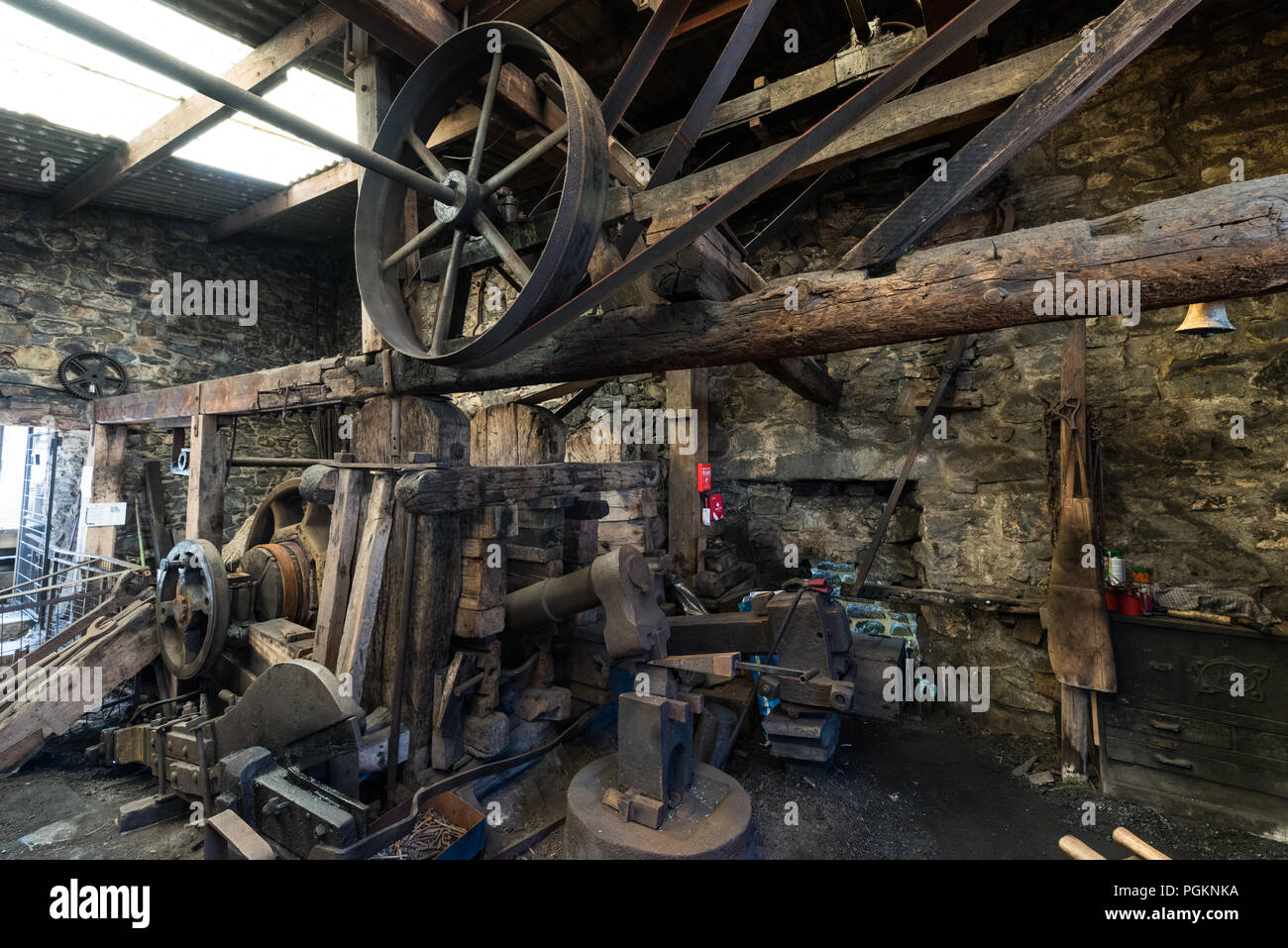 Giant finch hi-res stock photography and images - Alamy
