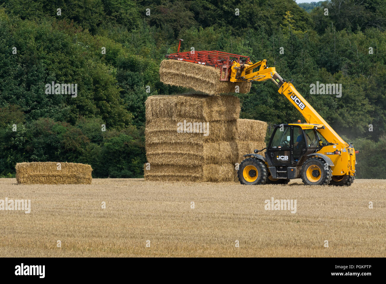 Bringing in the harvest. A tractor loading bales of straw onto a ...