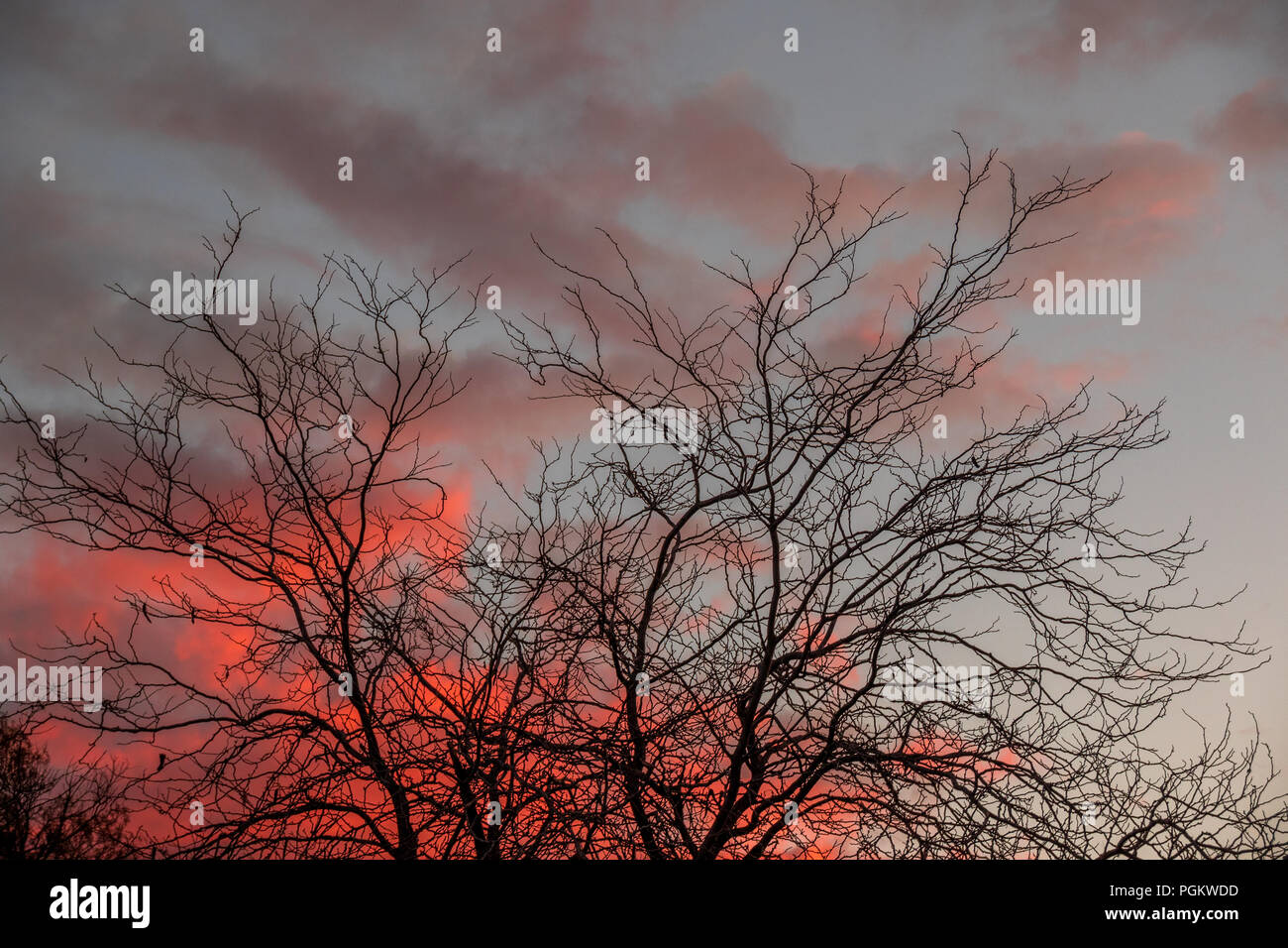 Ominous backdrop hi-res stock photography and images - Alamy