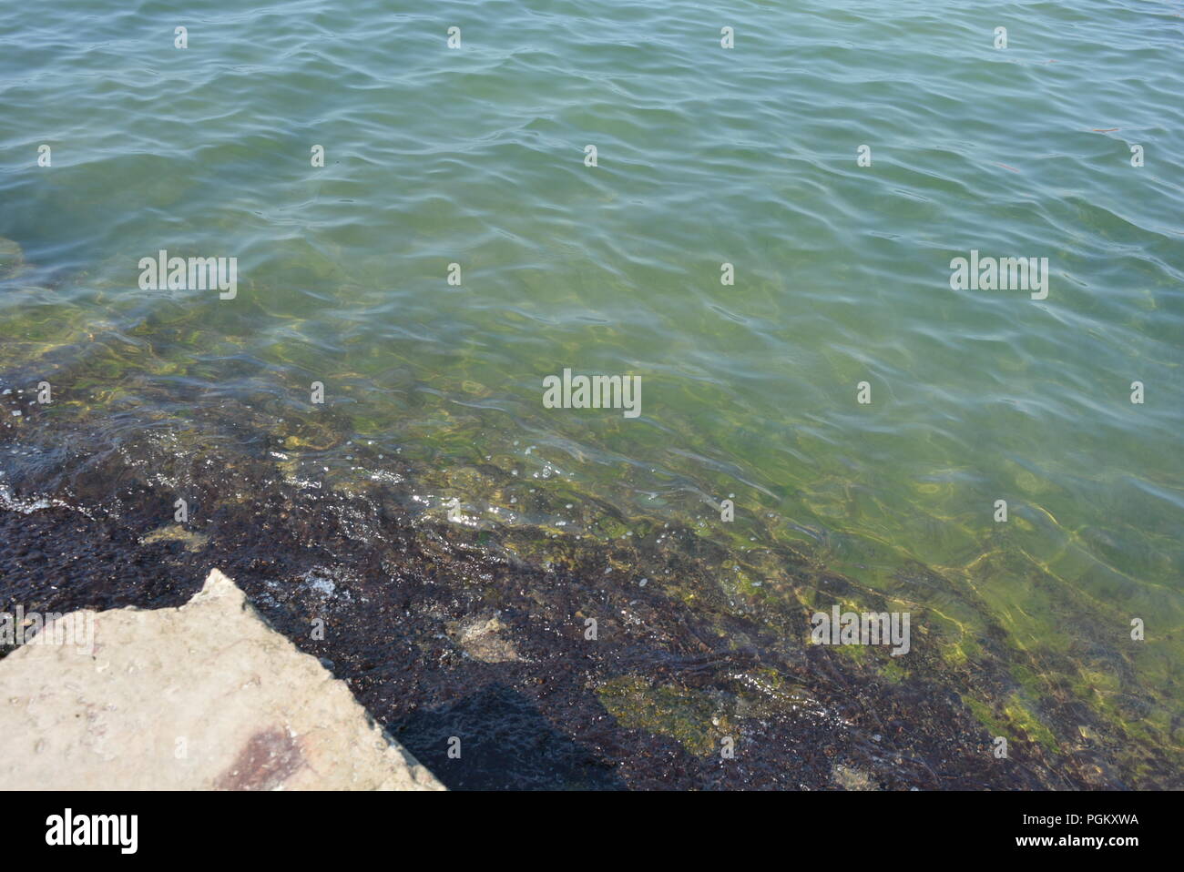 Deep blue with a transparent bottom, beautiful surface of the black sea ...