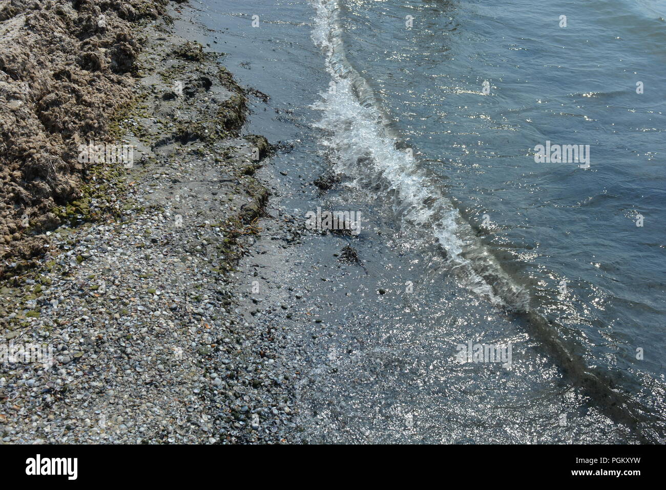 Deep blue with a transparent bottom, beautiful surface of the black sea ...