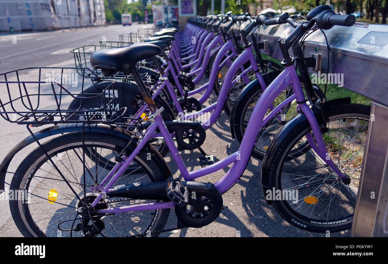 Stpt hi-res stock photography and images - Alamy