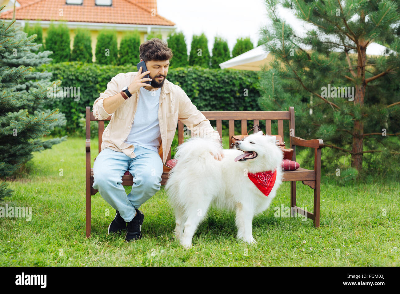 Dark-haired bearded man taking care of his white husky Stock Photo - Alamy