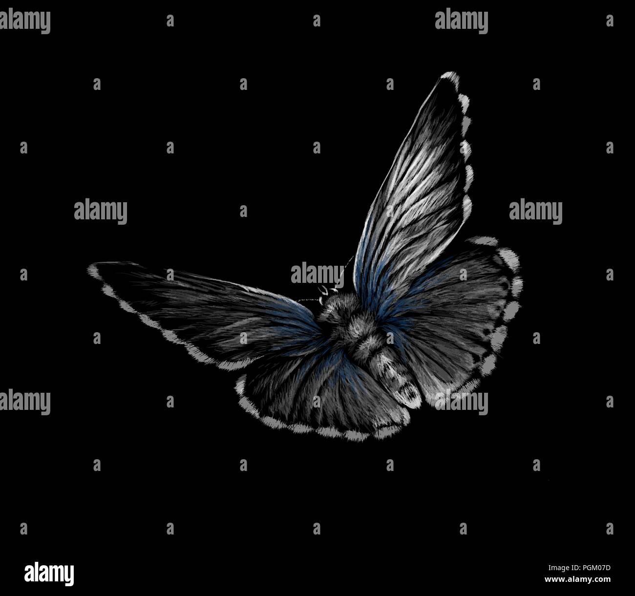 Delicate green butterfly Stock Vector Images - Alamy