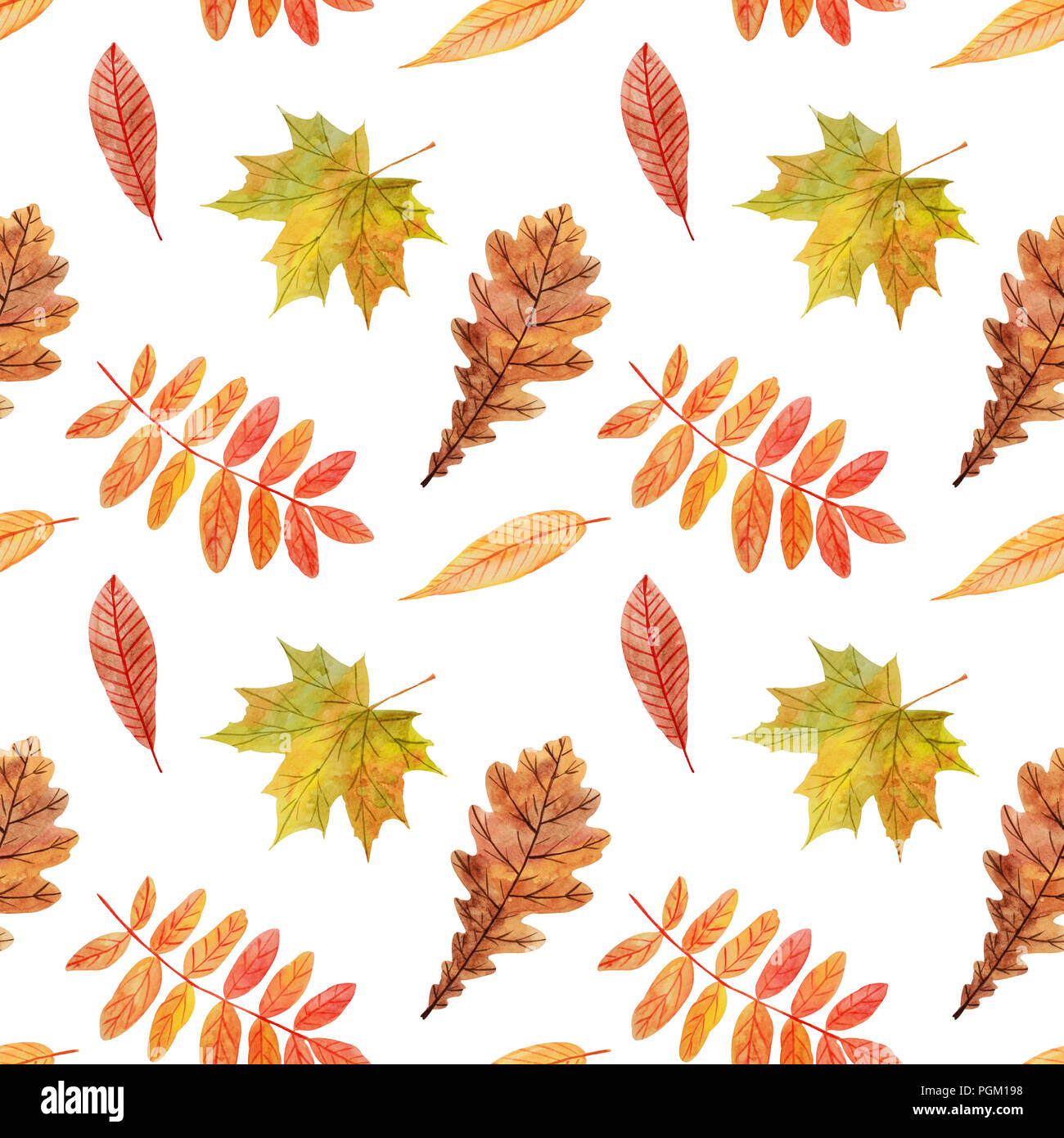 Colorful seamless pattern with watercolor autumn leaves on white ...