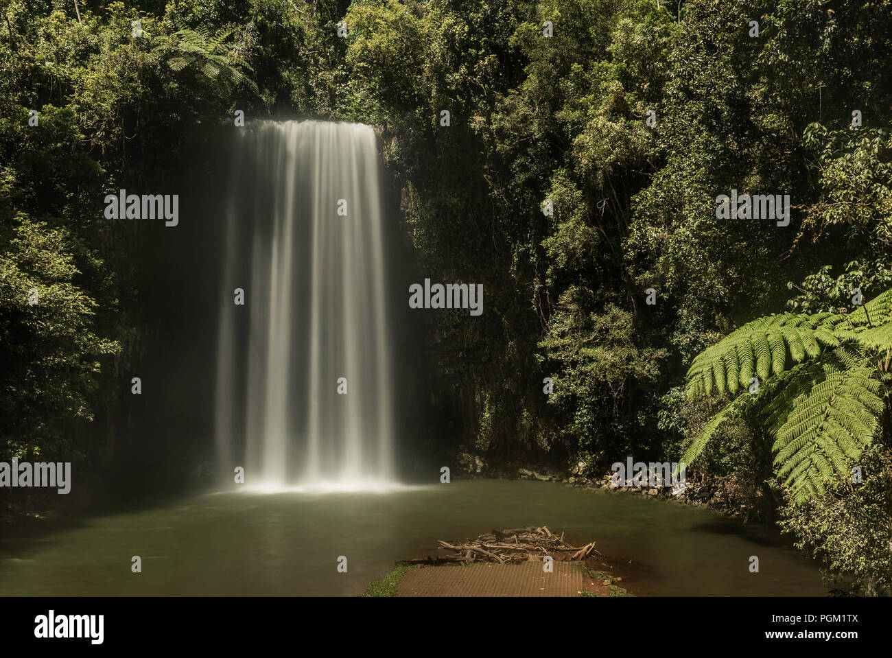 Milla Milla Falls High Resolution Stock Photography and Images - Alamy
