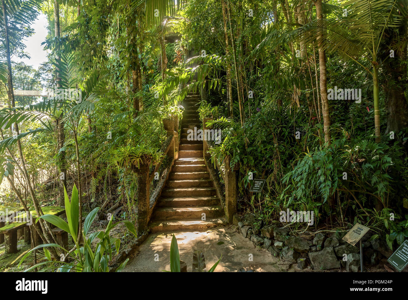 Paronella Park High Resolution Stock Photography and Images - Alamy
