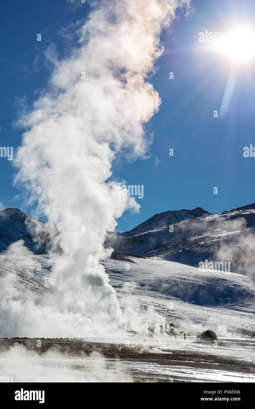 El Tatio geysers in Chile Stock Photo - Alamy