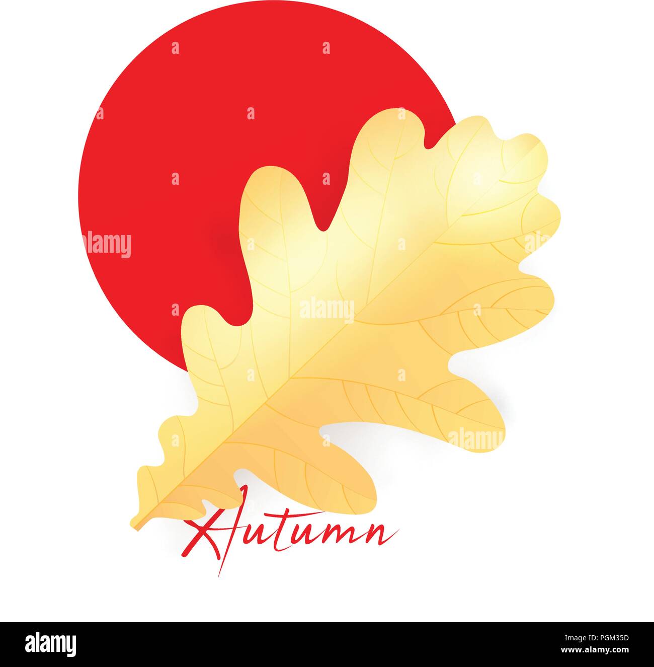 Realistic oak leaf in pastel color Stock Vector Image & Art - Alamy