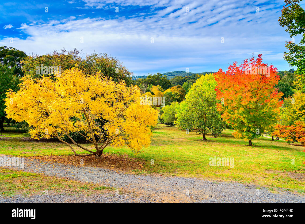 Colourful autumn in Mount Lofty, Adelaide Hills, South Australia Stock ...