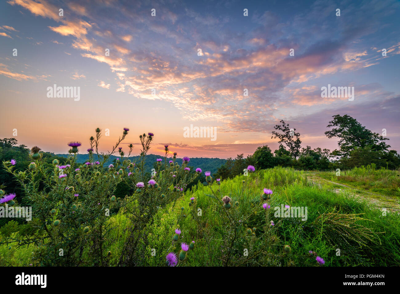 The sun's light catches on clouds in this sunset scene in Central ...
