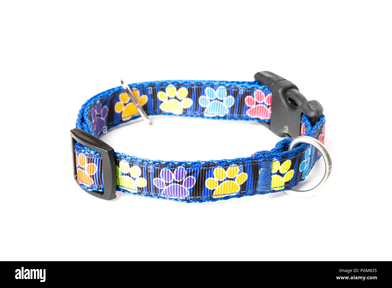 Id collar hi-res stock photography and images - Alamy