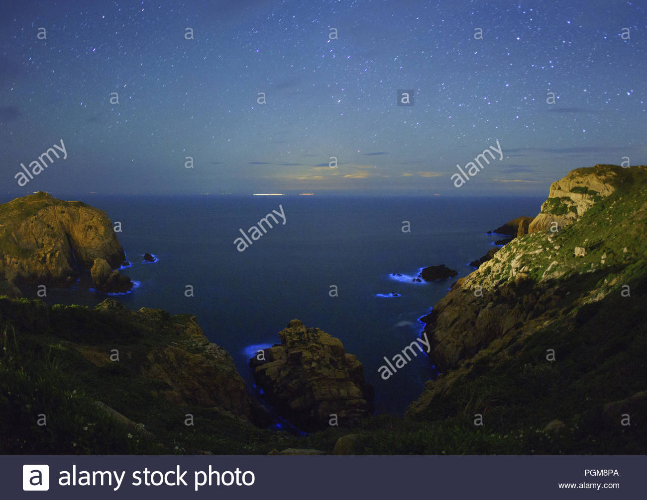 Noctiluca Scintillans Stock Photos & Noctiluca Scintillans Stock Images ...