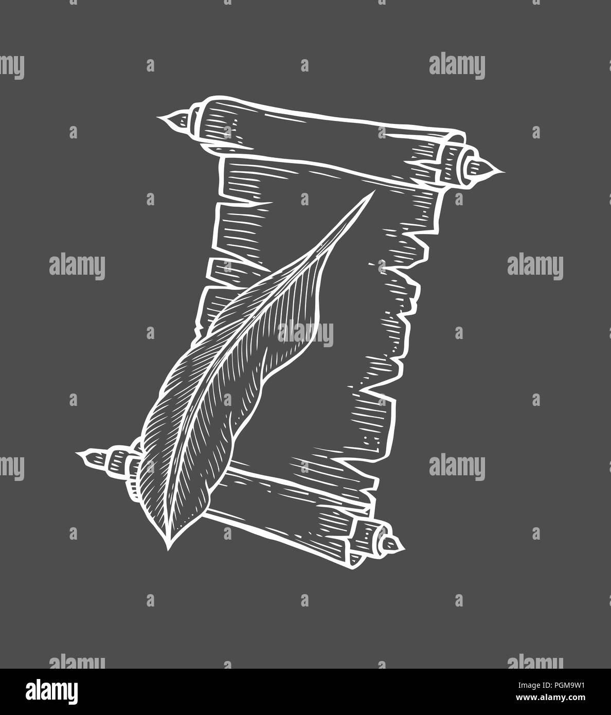 Vector hand drawn illustration of old scrolls in vintage engraved style ...