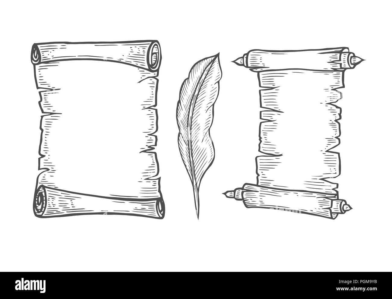 Vector hand drawn illustration of old scrolls in vintage engraved style ...