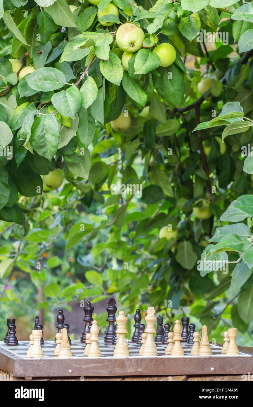 Chess board with chess pieces on wooden desk with branches of apple ...