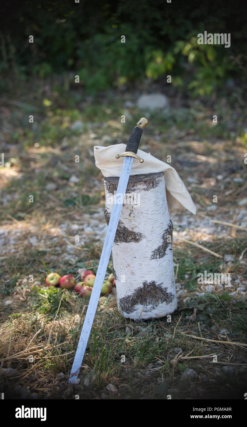 In the photo there is a log with a sword, the sword rested on the log ...