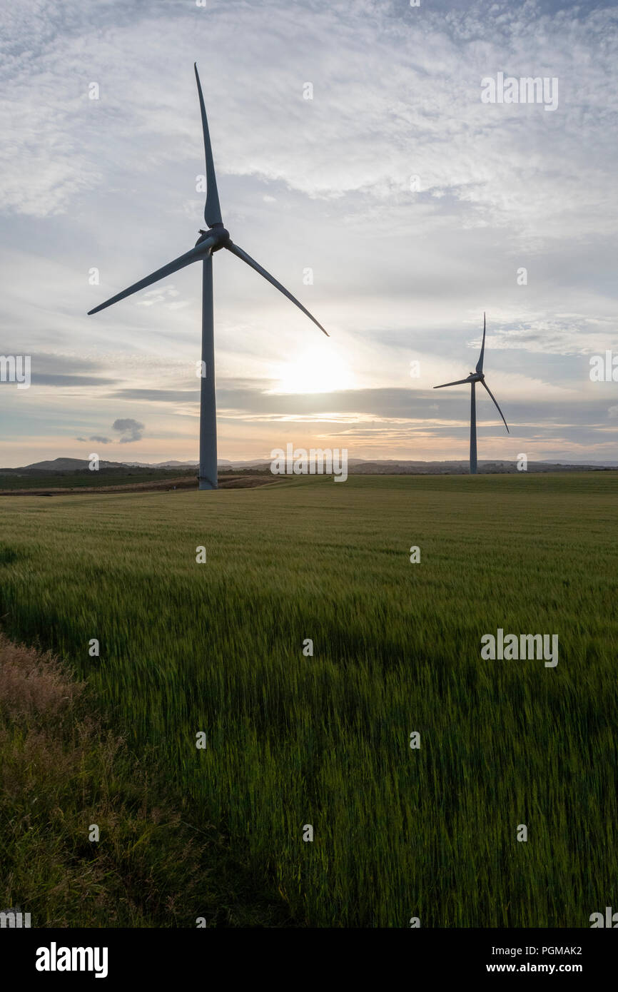 Wind turbines in a field Stock Photo - Alamy
