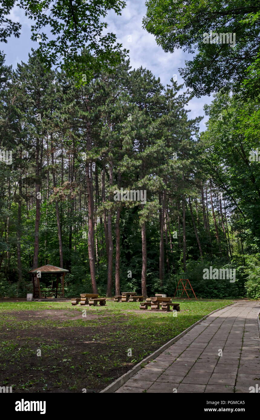 Wooden bench, alcove and table on a meadow in the forest at natural old ...