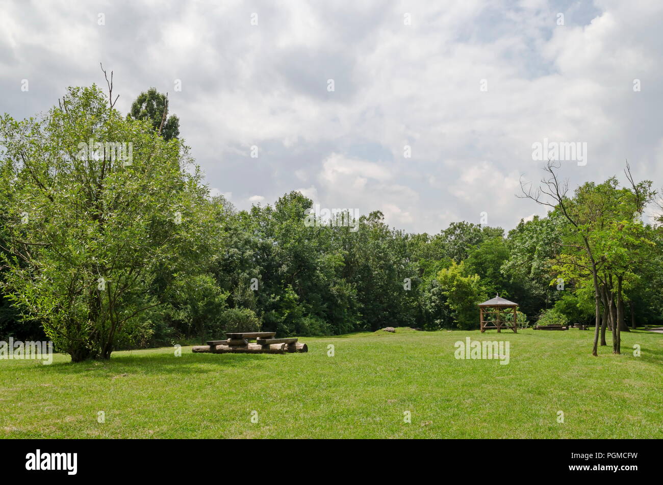 Wooden bench, alcove and table on a meadow in the forest at natural old ...