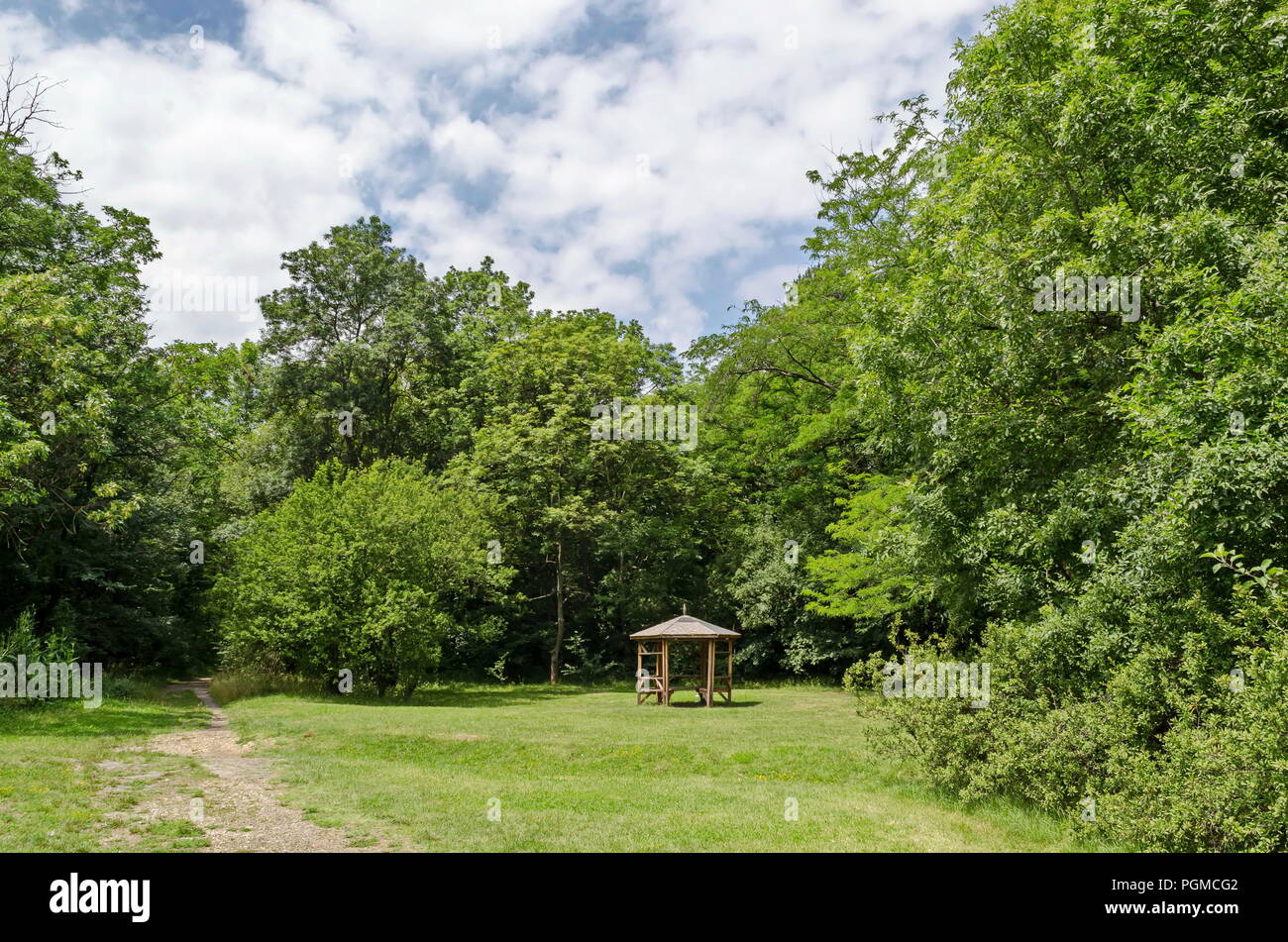 Wooden bench, alcove and table on a meadow in the forest at natural old ...