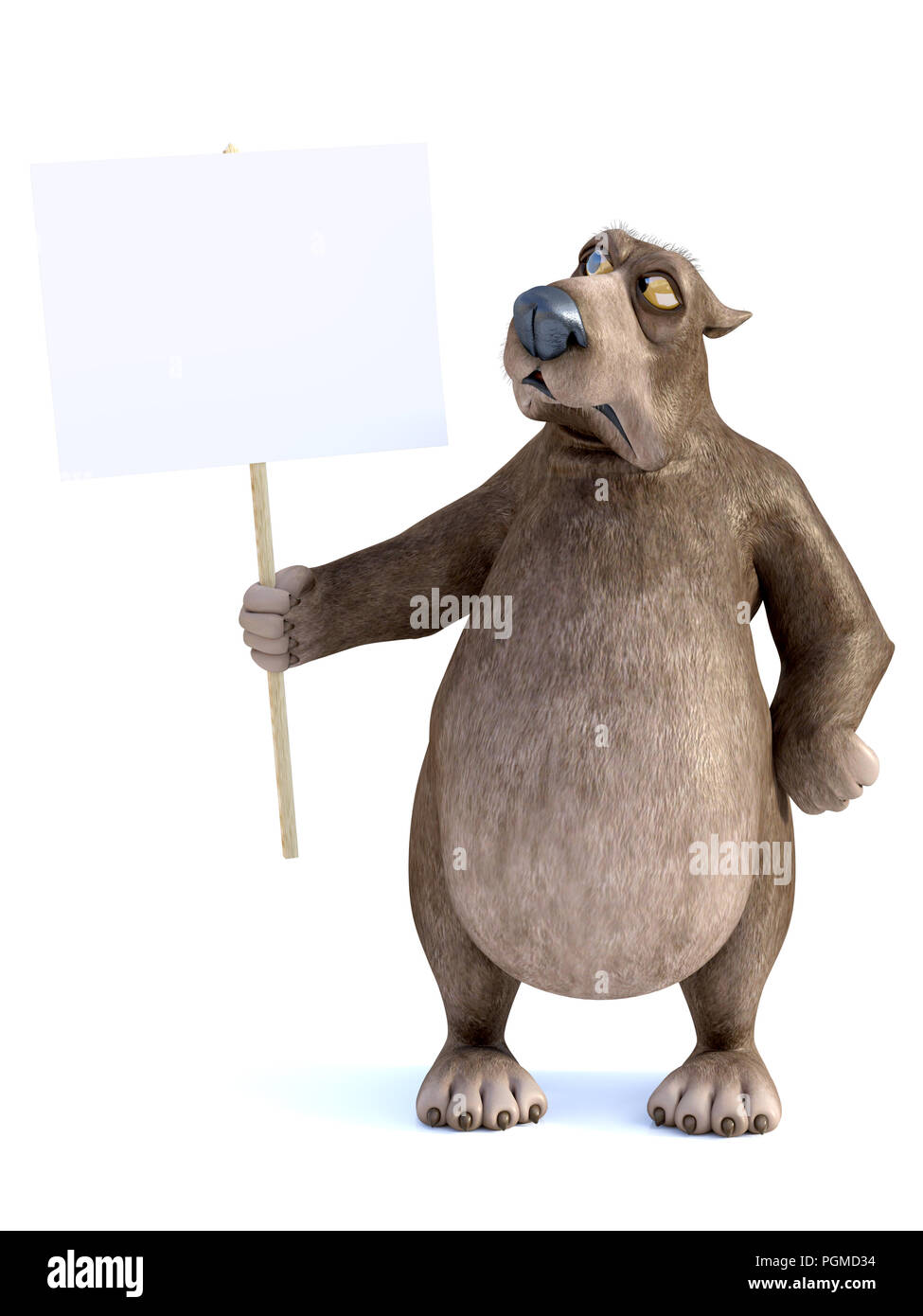 Grumpy bear hi-res stock photography and images - Alamy