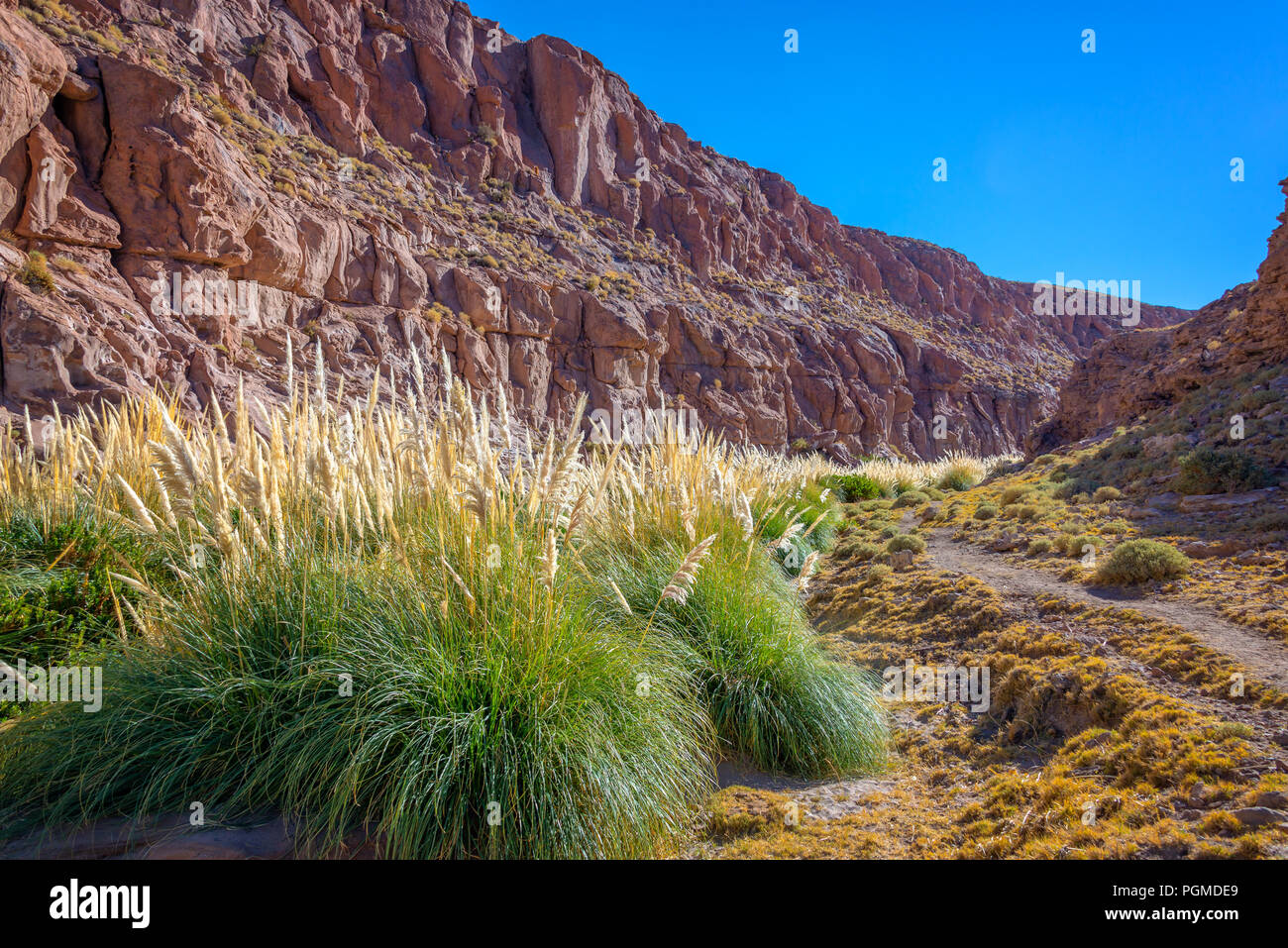 Atacama chile landscape hi-res stock photography and images - Alamy