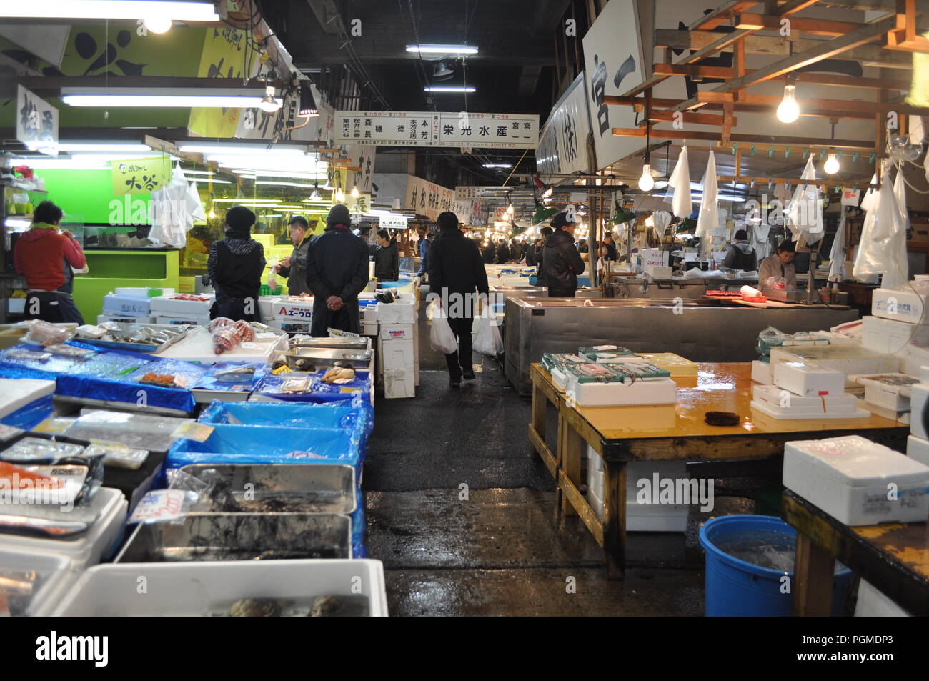Tsukiji fish market, Toyko, Japan Stock Photo - Alamy