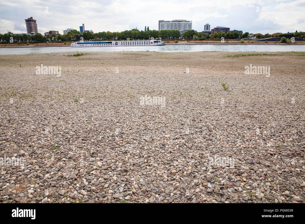 low level of the river Rhine, August 25, 2018, banks of the river Rhine ...