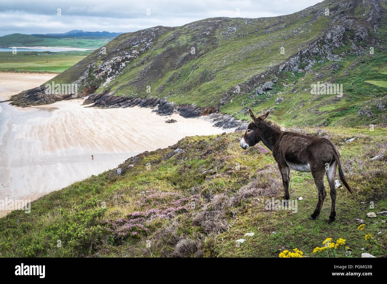 Downings hi-res stock photography and images - Alamy